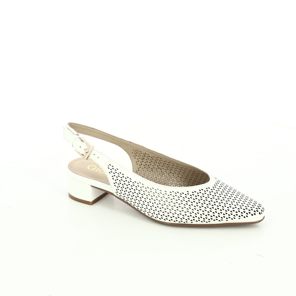 GIOIA BALLERINA'S WIT | Kevin Shoes